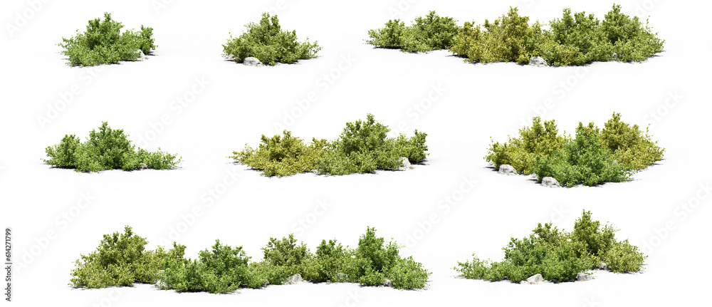 set of bushes photorealistic 3D rendering with transparent background ...