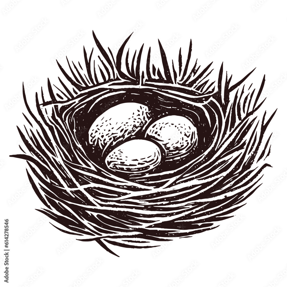 nest with eggs sketch Stock Vector | Adobe Stock