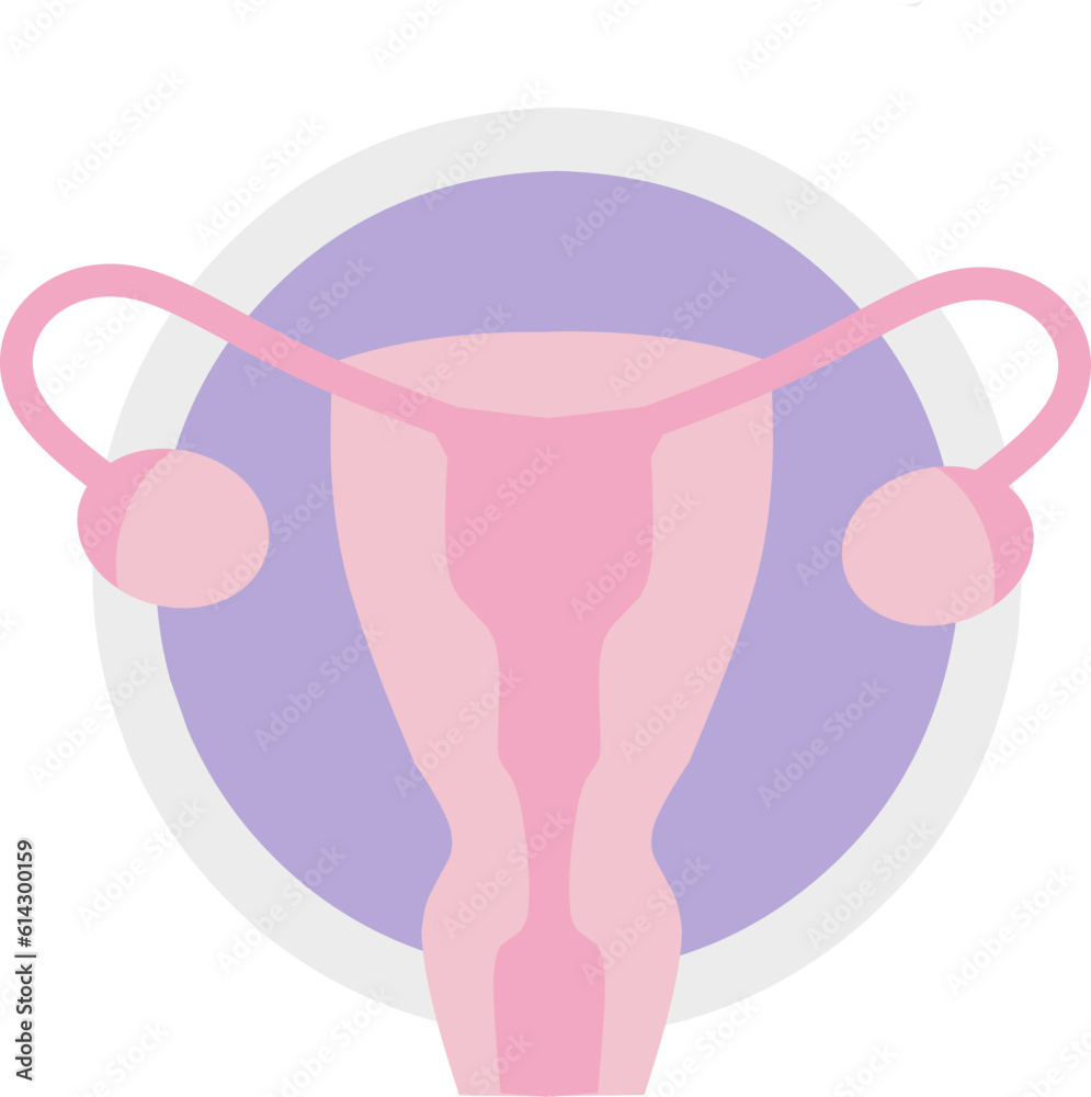 Uterus vector illustration. Perfect for presenting anything about ...