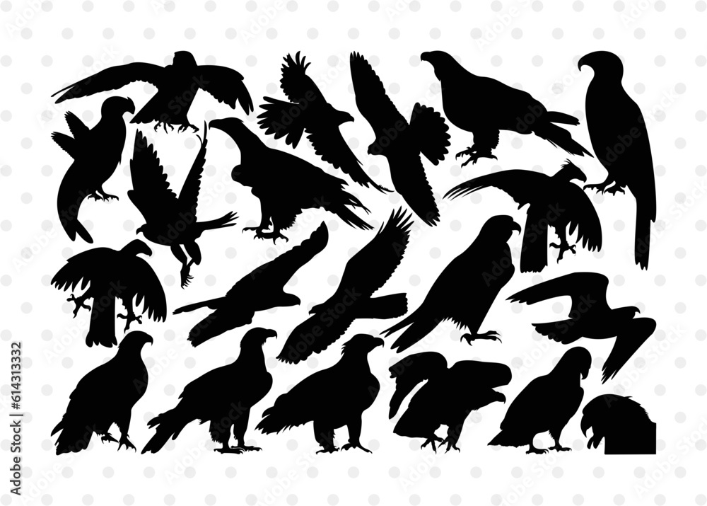 Falcon Bird Silhouette, Falcon Bird SVG, Bird Svg, Falcon Svg, Predator ...