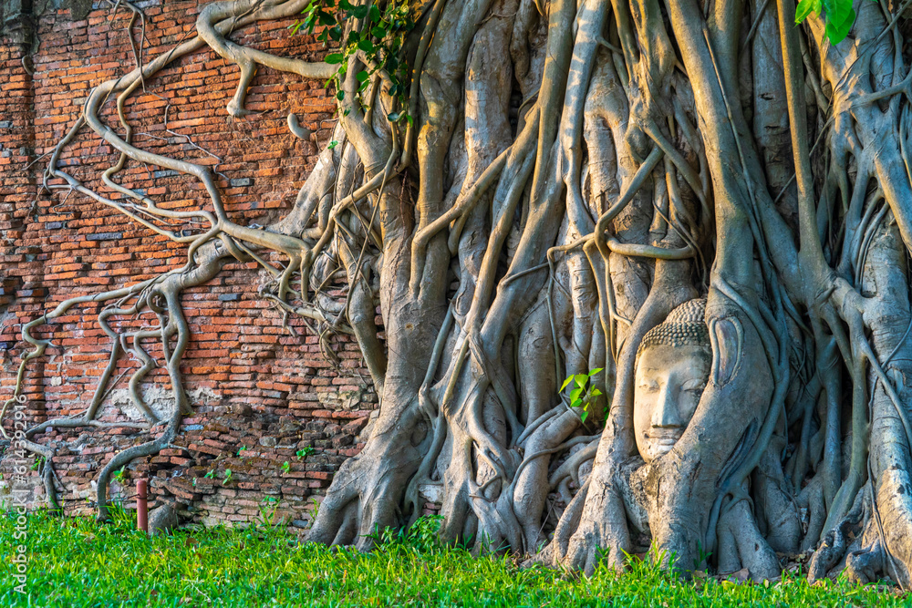Buddha Head statue with trapped in Bodhi Tree roots at Wat Maha That ...