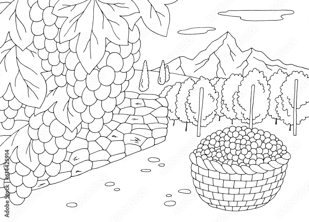 Vineyard coloring graphic black white landscape sketch illustration ...
