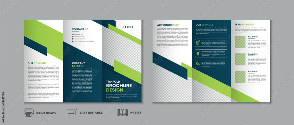 Professional clean modern and corporate trifold brochure template ...