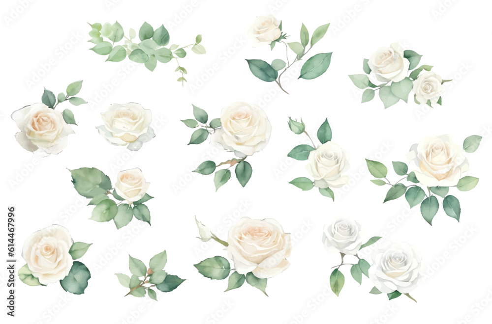 set of white roses watercolor illustration. hand drawn, isolated white ...