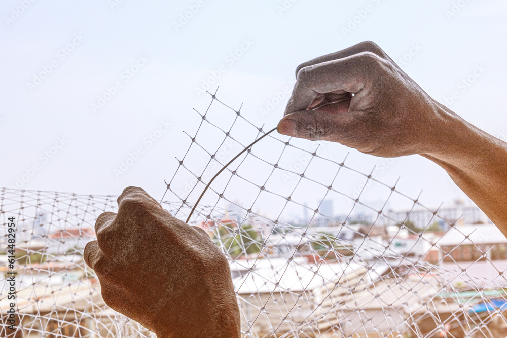 technician worker man install plastic net with wire for protect pigeon ...