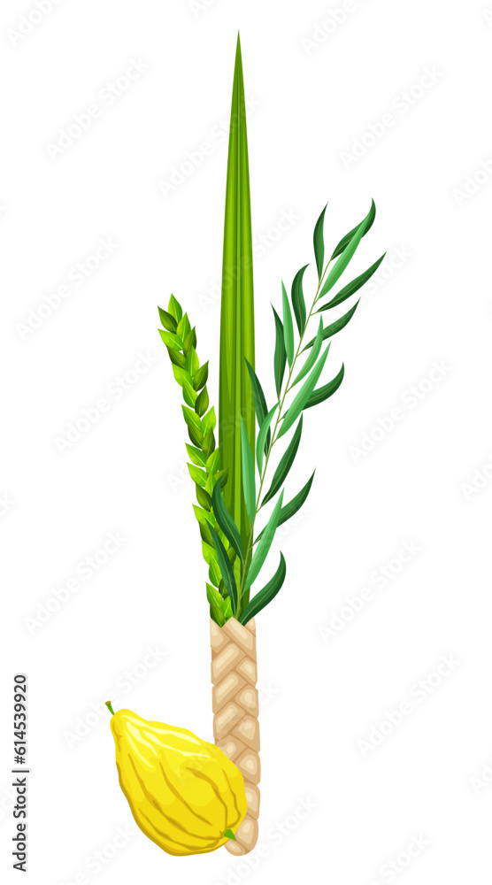 Traditional symbols of Sukkot: Etrog (citron), lulav (palm branch ...