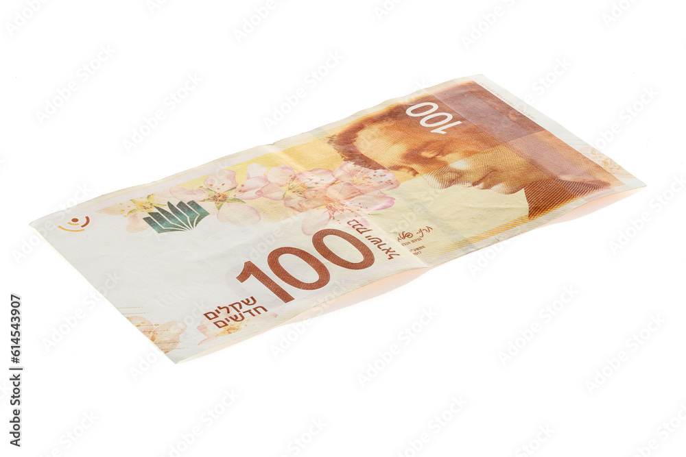 Israeli NIS 100 bill New Israeli Shekel. One banknote of a new type ...