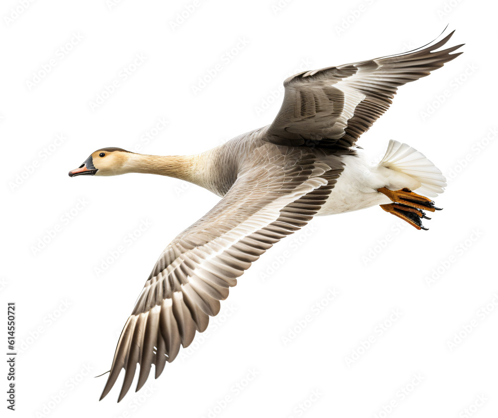 Flying goose isolated on the transparent background PNG. AI generative ...