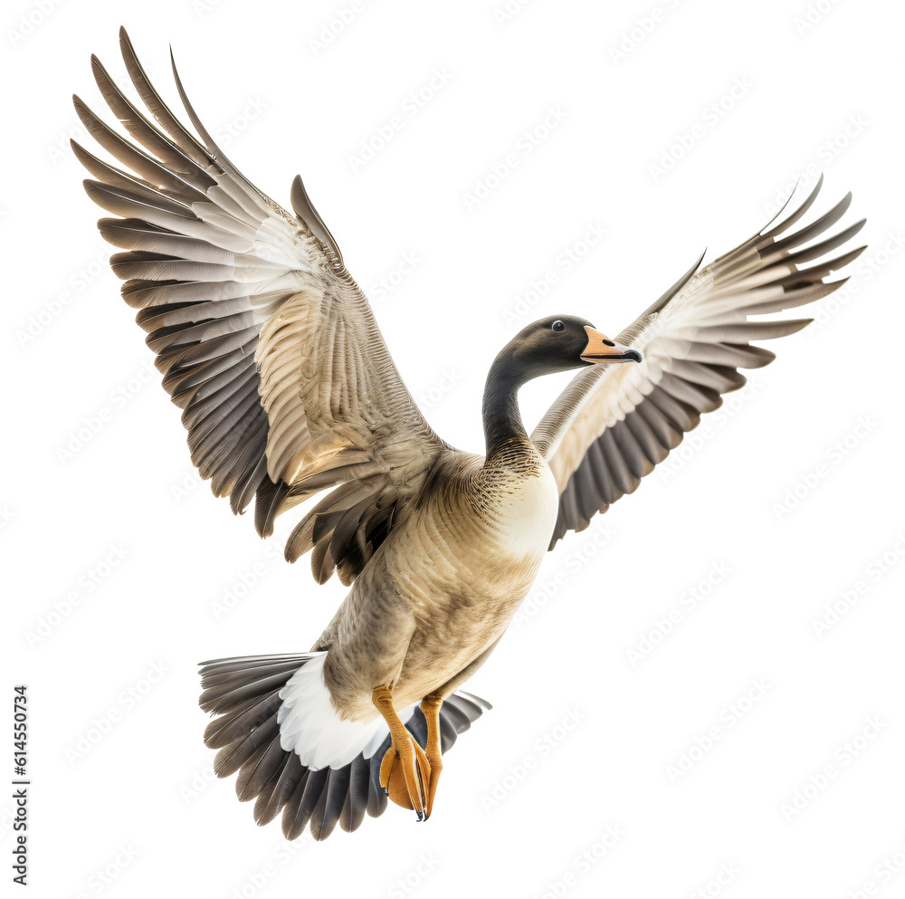 Flying goose isolated on the transparent background PNG. AI generative ...