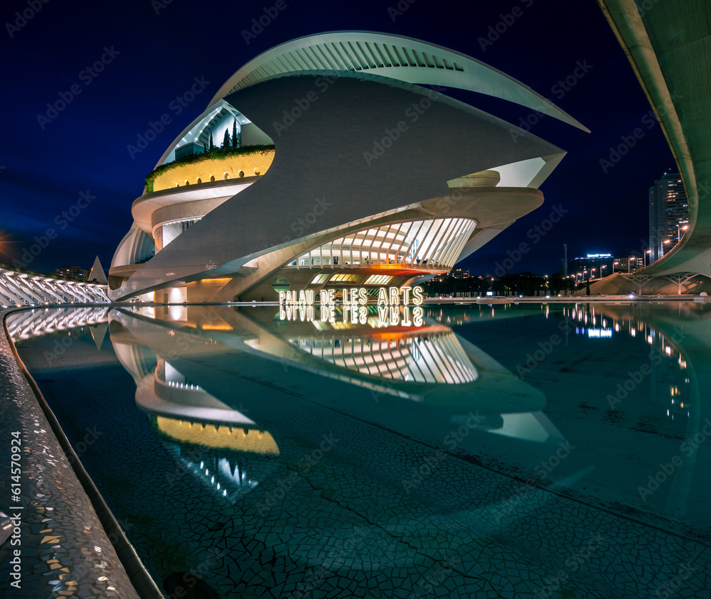 Valencia, Spain: night view of the Palau de les Arts Reina Sofia, the ...