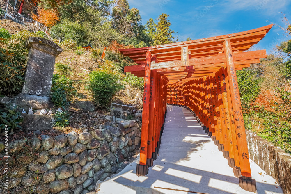 Saga, Japan - Nov 28 2022: Yutoku Inari shrine in Kashima City, Saga ...