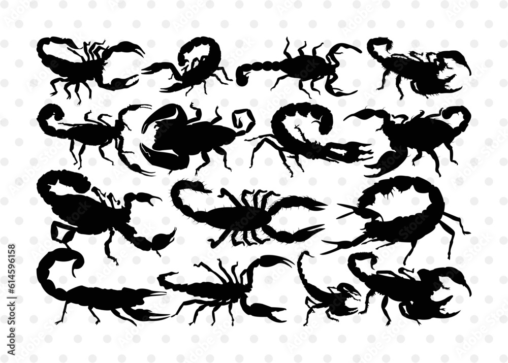 Scorpion Silhouette, Scorpion SVG, Scorpion Animal Svg, Skorpion Svg ...