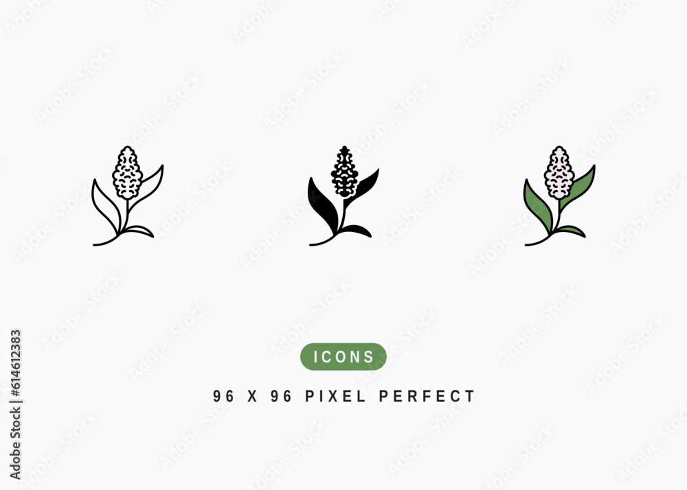 Sorghum Icon. Sorgo Grass Leaf Symbol Stock Illustration. Vector Line ...