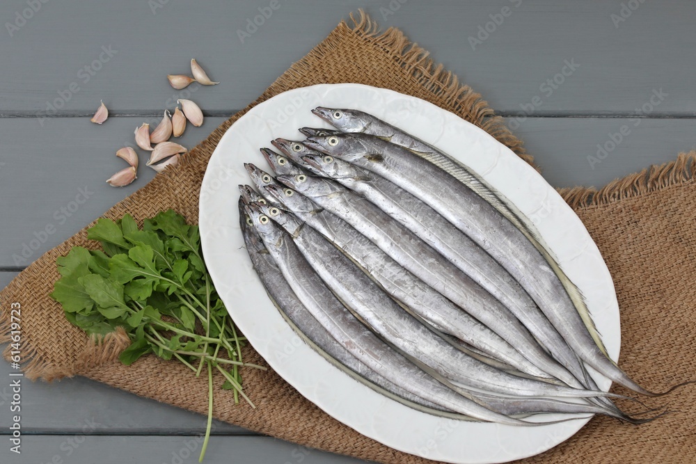 Shaber fish, mullet, Trichiurus lepturus, a species of ray-finned fish ...