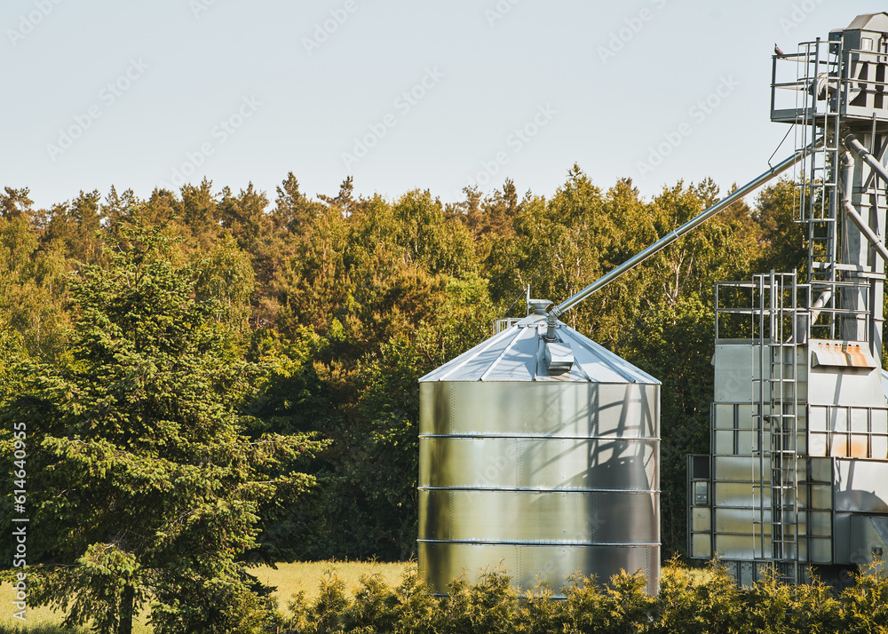 Steel grain silos stand next to a field. Agro-Industrial landscape ...