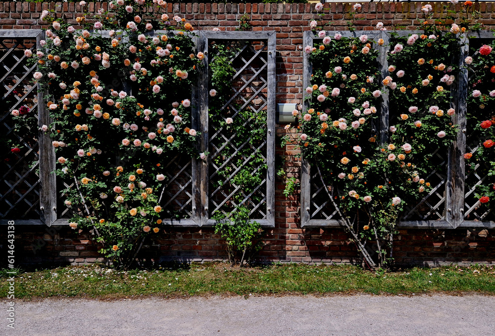 retaining walls and terraces with trellises and roses. Rectangular ...