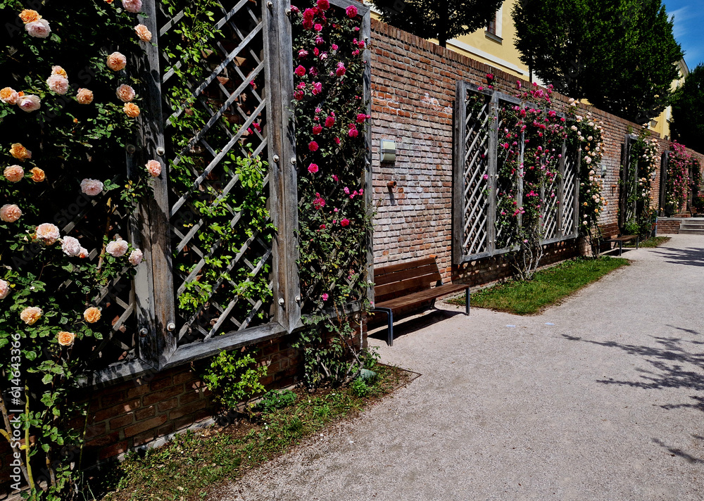 retaining walls and terraces with trellises and roses. Rectangular ...