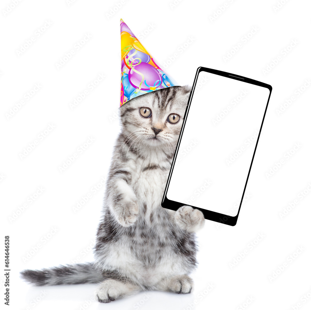 Cute kitten wearing party cap standing on hind legs and shows big ...