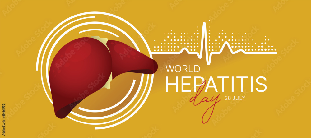 World Hepatitis Day - Liver on white circle rign sign with line heart ...