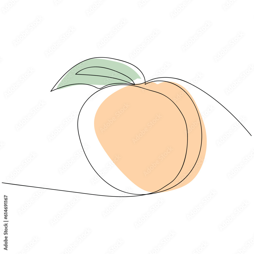 peach. a drawing drawn with a single line. black lines with added color ...