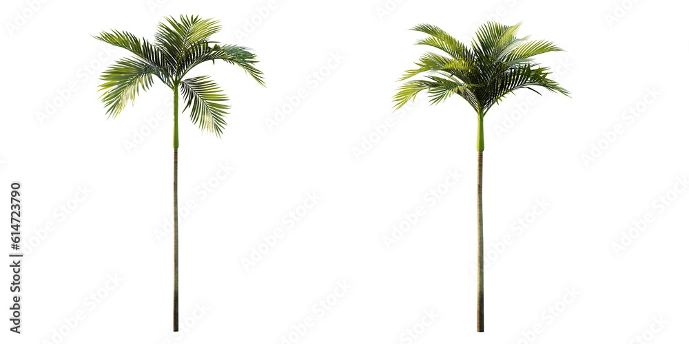 isolated cutout artistic palm tree, best use for landscape design, best ...