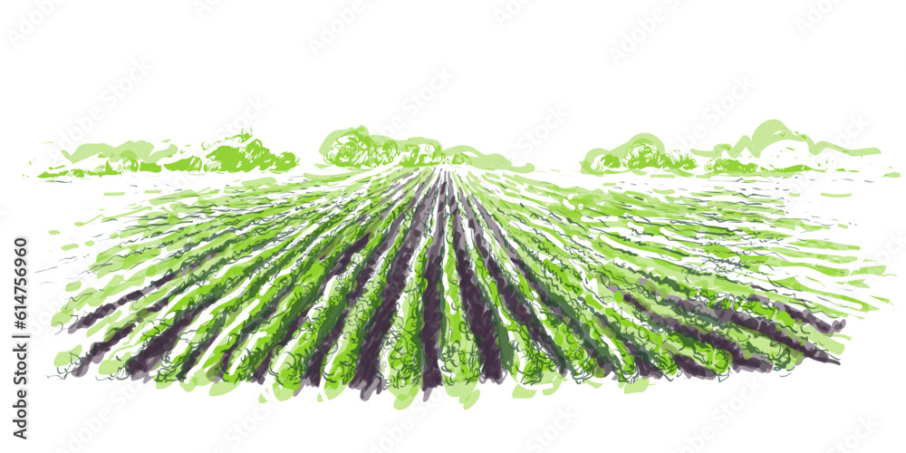 Vector farm field landscape. Pattern of plowed furrows in preparation ...