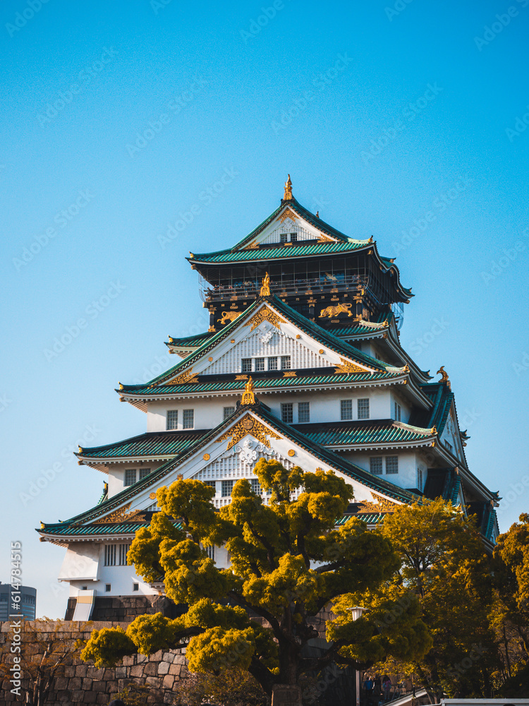 Majestic Osaka Castle stands tall, surrounded by vibrant cherry ...