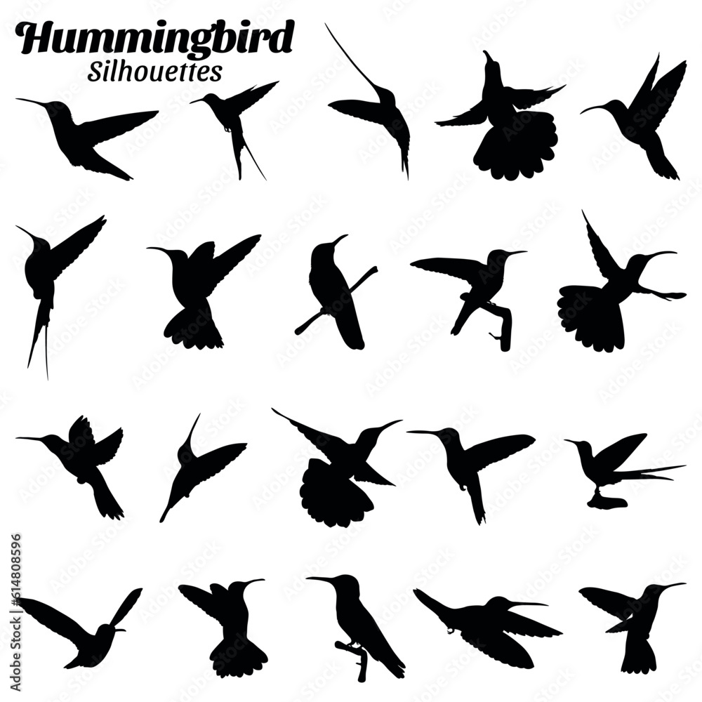 Hummingbird silhouettes vector illustration set. Stock Vector | Adobe Stock