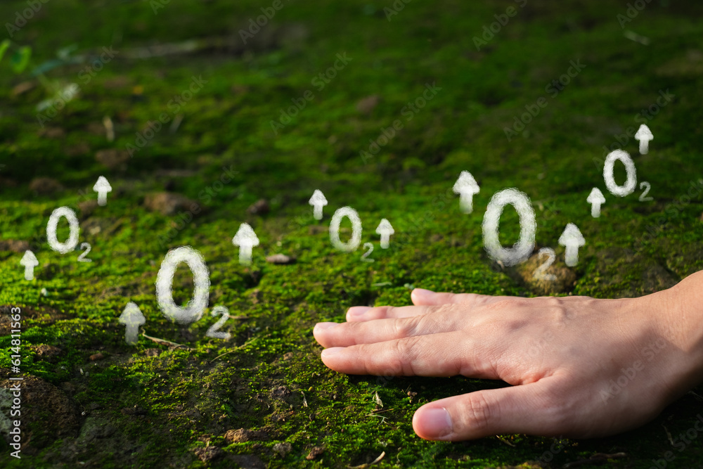 Concept of O2 or oxygen sign fresh air breathing, Plant release oxygen ...