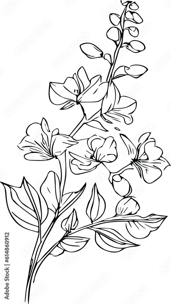 July birth flower tattoo drawing delphinium flower sketch. vintage ...