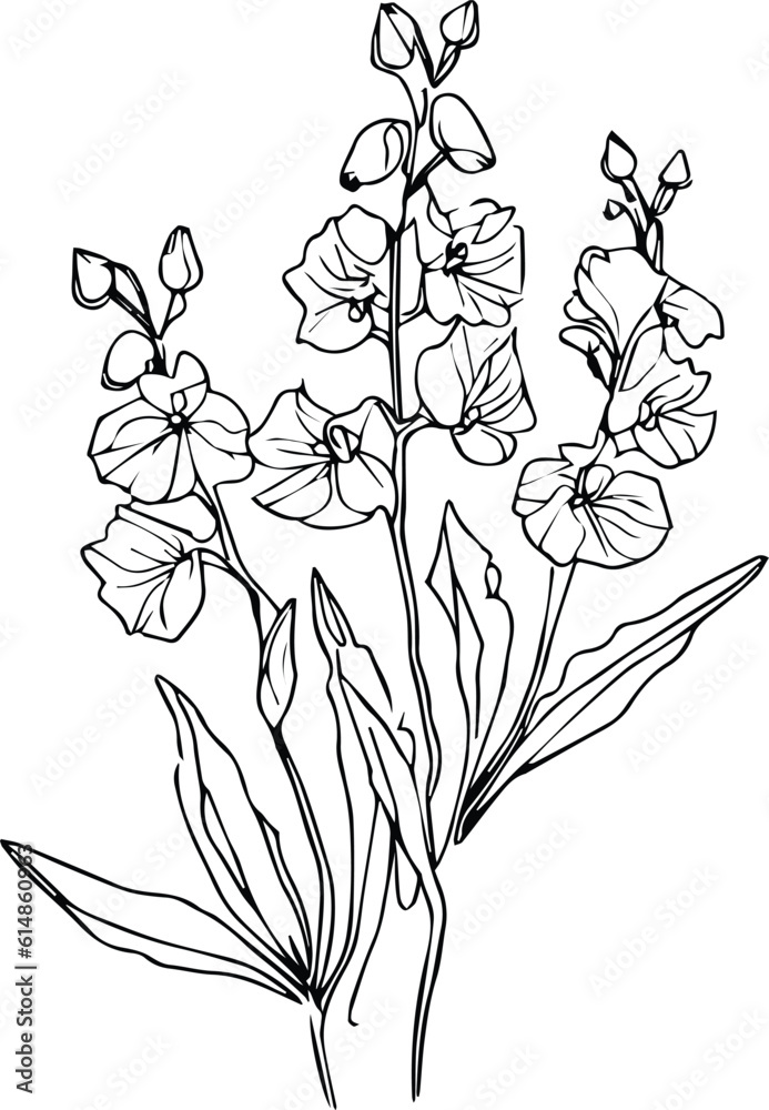 simple larkspur flower drawing, Flower coloring page, books, monochrome ...