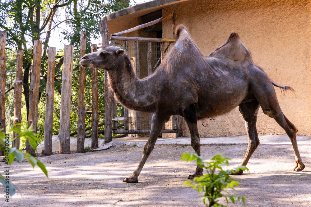 Biopark - Zoo of Rome. Family day together to discover wild animals ...