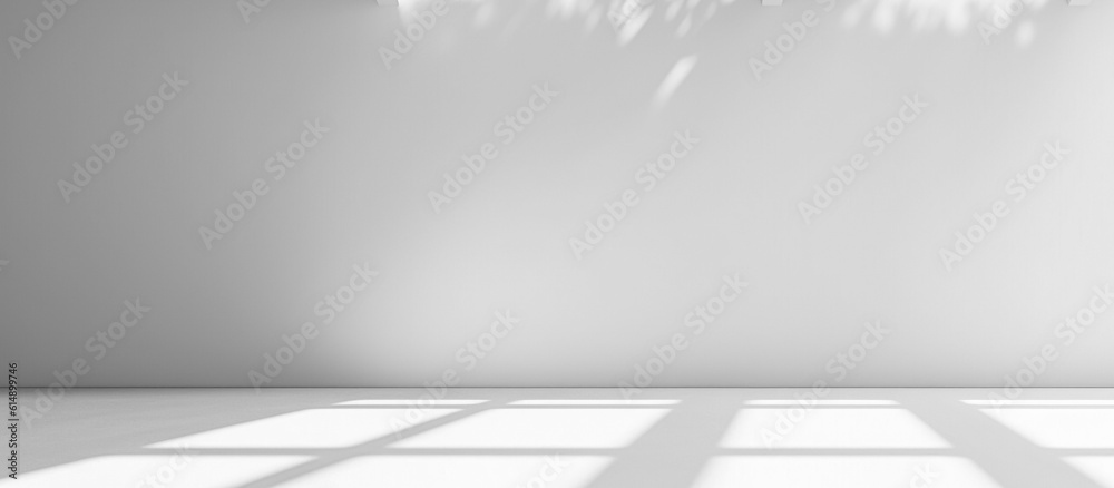 Empty room with white light shadow and grey floor. Empty room with Wall ...