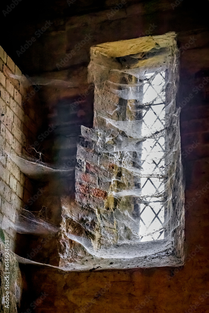 Light streams through many spider webs from a leaded glass window in ...