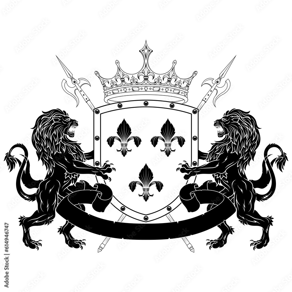 Heraldic shield of the middle ages, coat of arms with heraldic symbol ...