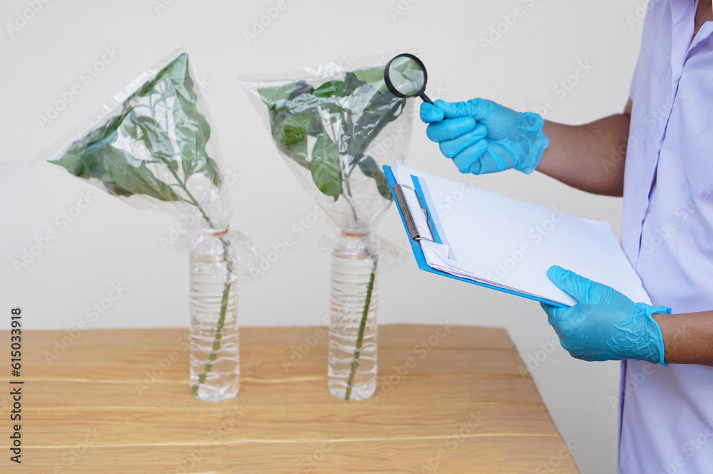 Student holds magnifying glass and paper notepad to observe the science ...