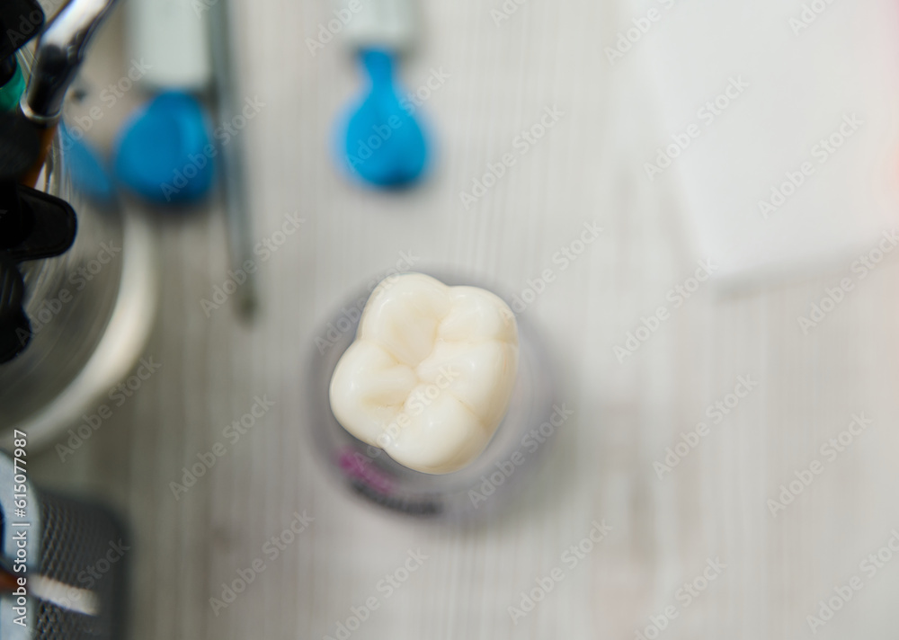 Foto de Selective focus. Top view ceramic model of enlarged human molar ...