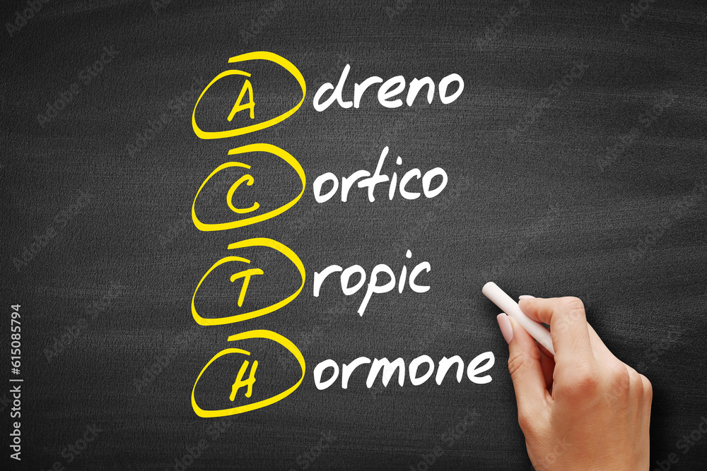 ACTH - Adrenocorticotropic hormone acronym, concept on blackboard foto ...