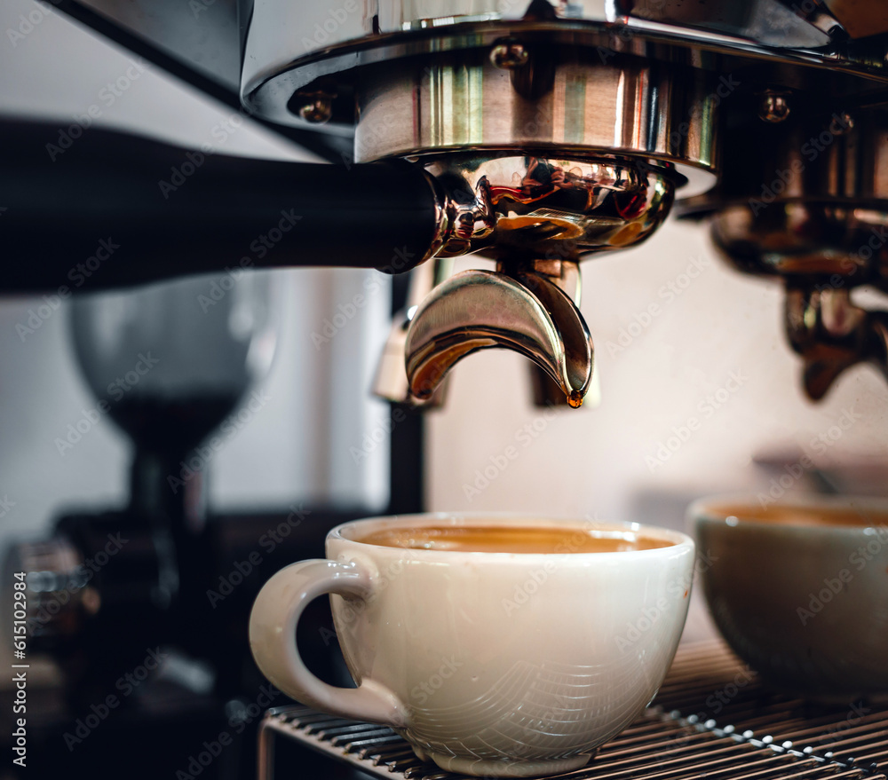 Espresso coffee extraction from a professional coffee machine with a ...