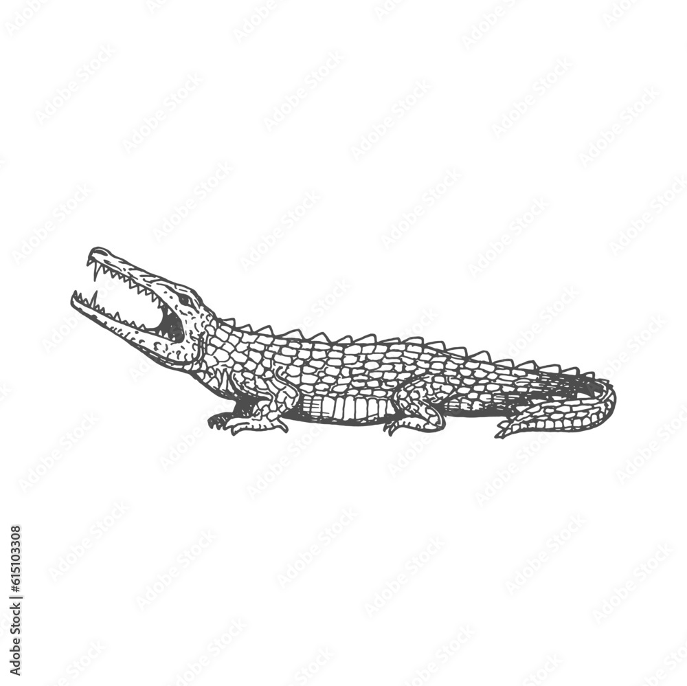 Crocodile ancient aztec animal isolated alligator sketch reptile icon ...