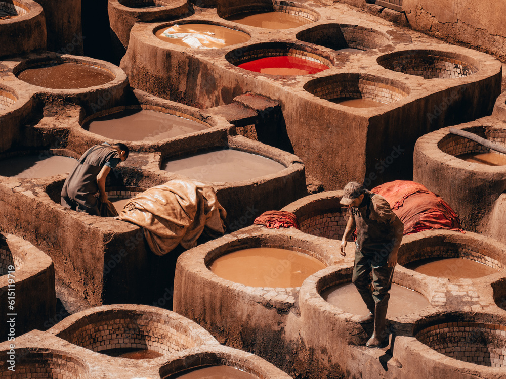 Fes' Chaouara Tannery: A vivid glimpse of the vibrant colors and ...