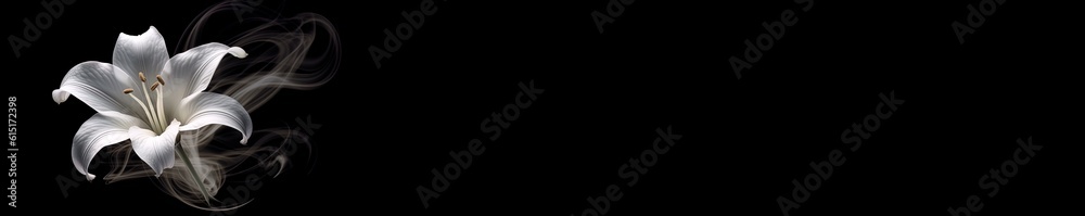 Mourning, condolence card with a flower isolated on black background ...