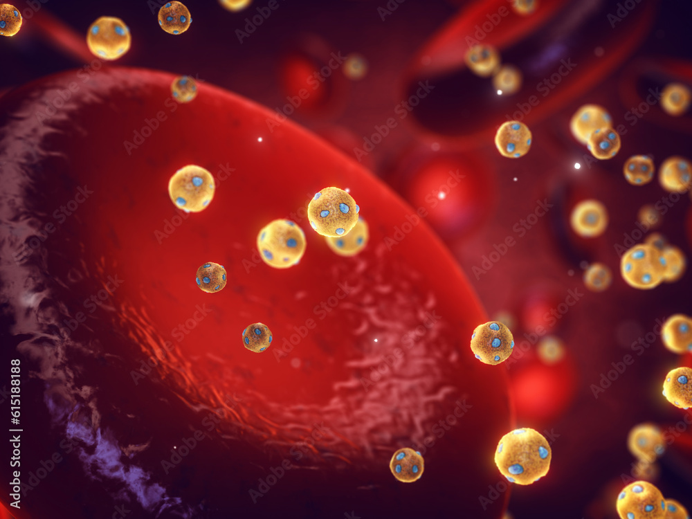 High-density lipoprotein particles (HDL) also known as good cholesterol ...