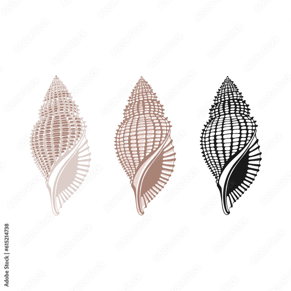 Shells. Hand drawn vector collection, 3 isolated elements on white ...