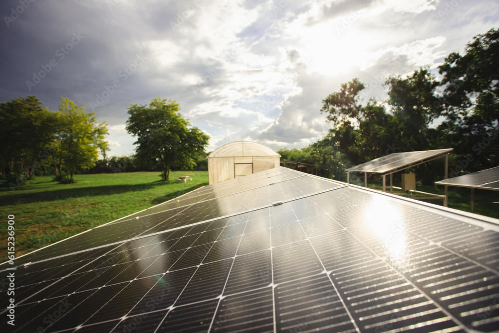 Renewable energy technology concept. Farm using solar panels used in ...