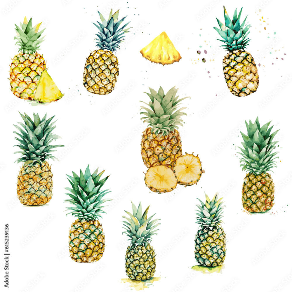 9 Ananas Aquarell Zeichnungen | Pineapple Watercolor Drawings Stock ...