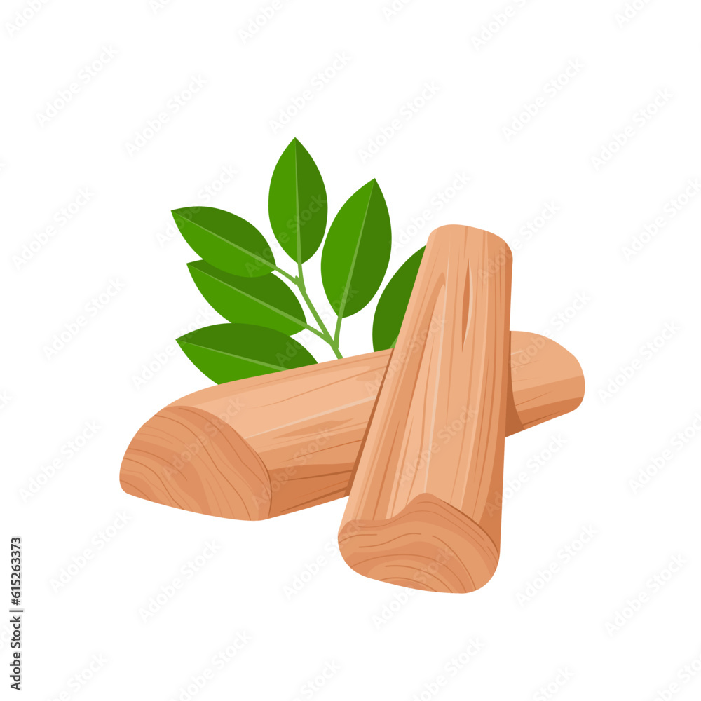 Vector illustration, sandalwood with green leaves, isolated on white ...