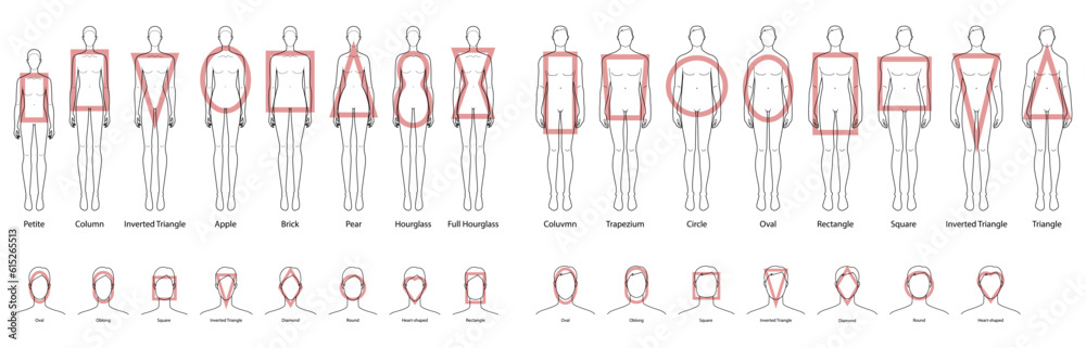 Set of Women Men faces and body shape types - oval, oblong, square ...