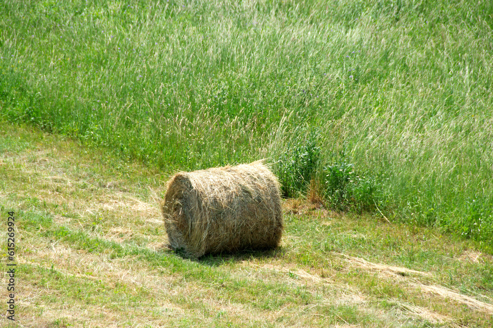 Some hay bales with green background. Sheaves of freshly harvested hay ...