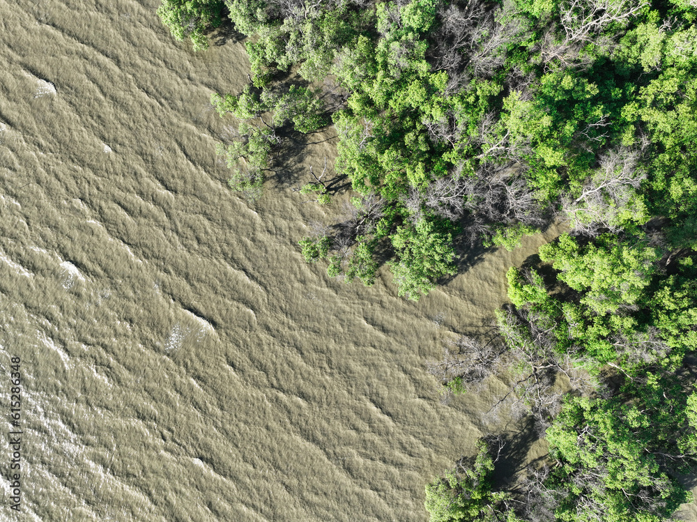 Aerial view green mangrove forest and sea water wave. Net zero ...